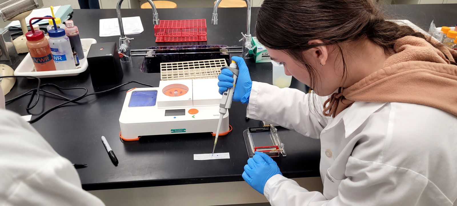 3 practicals based on real-world research challenges | Bento Lab