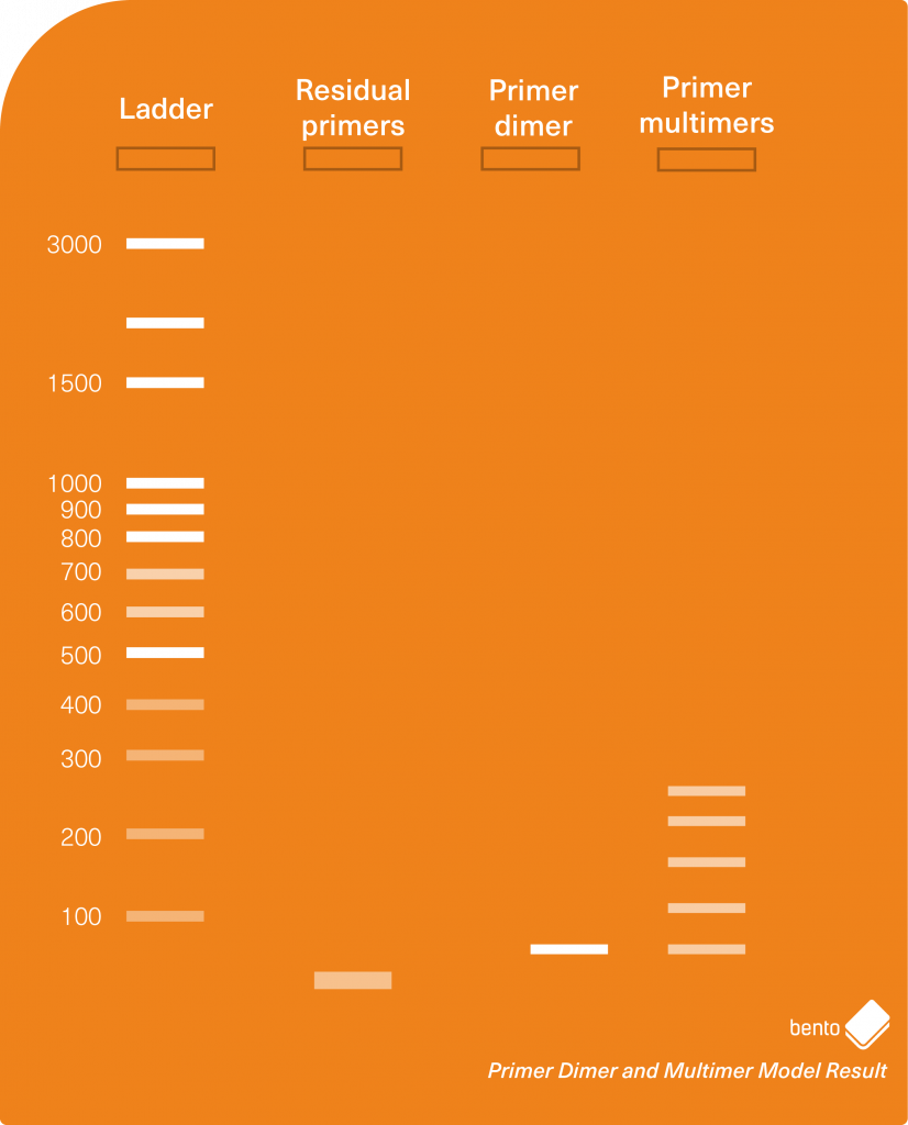 Troubleshooting Non-Specific Amplification
