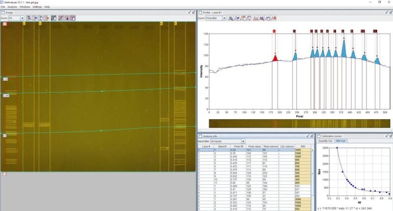 GelAnalyzer 23.1 & Super-High-Throughput MinION DNA barcoding | Bento Lab