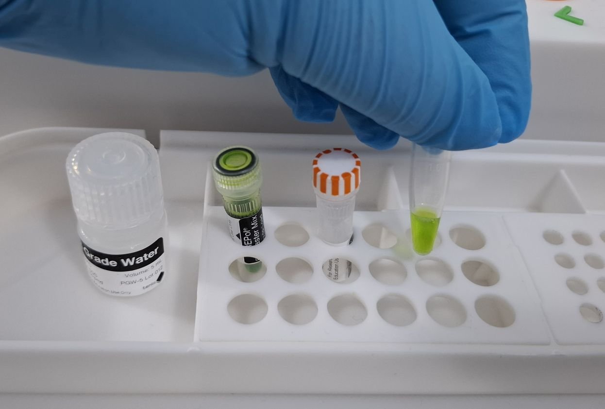 Making a Batch PCR Mix: A Beginner’s Guide | Bento Lab