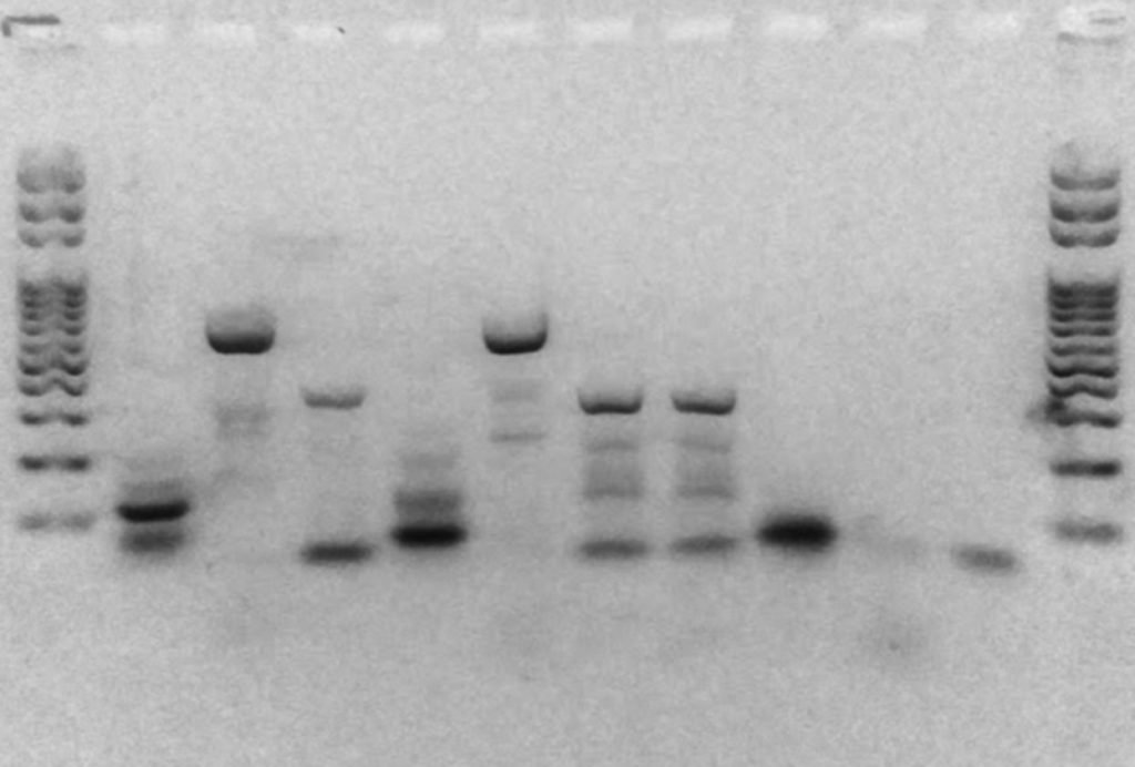 Advice for Bento Lab Users | Bento Lab