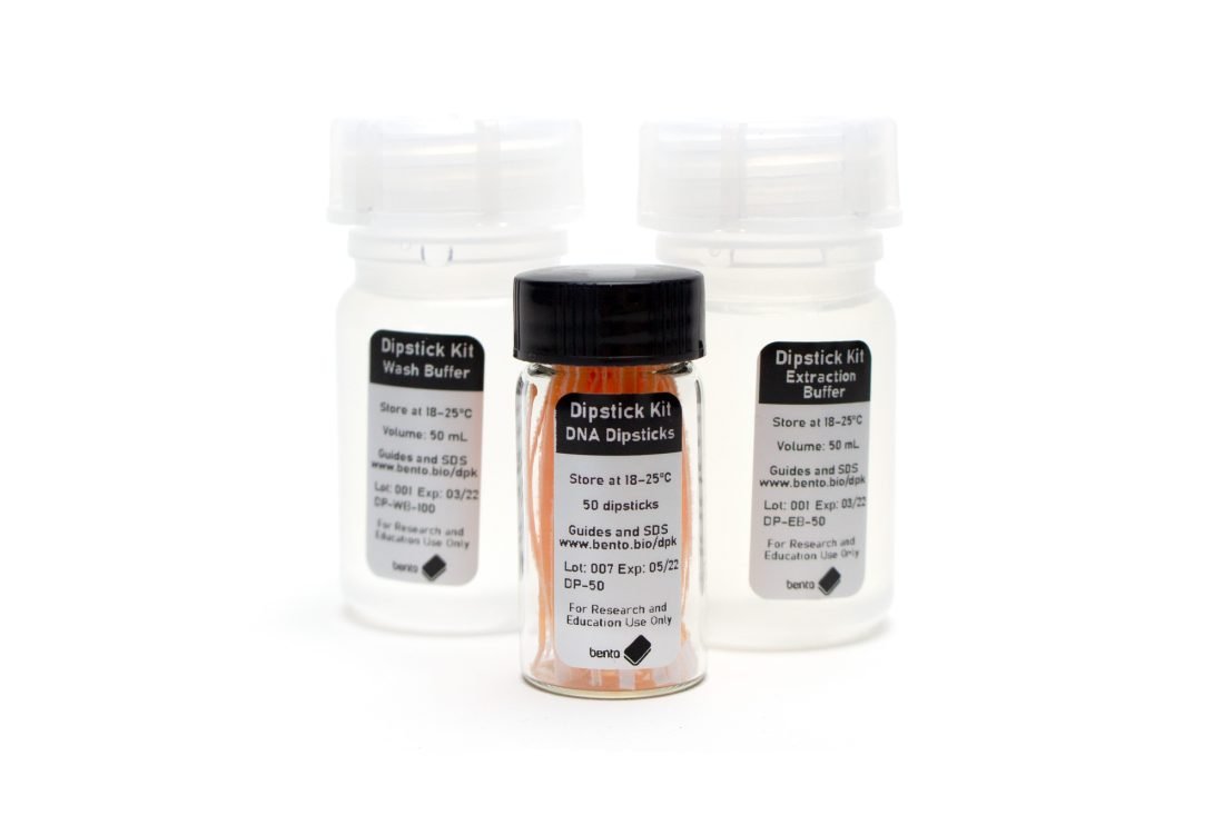 DNA Dipsticks and a MinION Field Barcoding Guide | Bento Lab