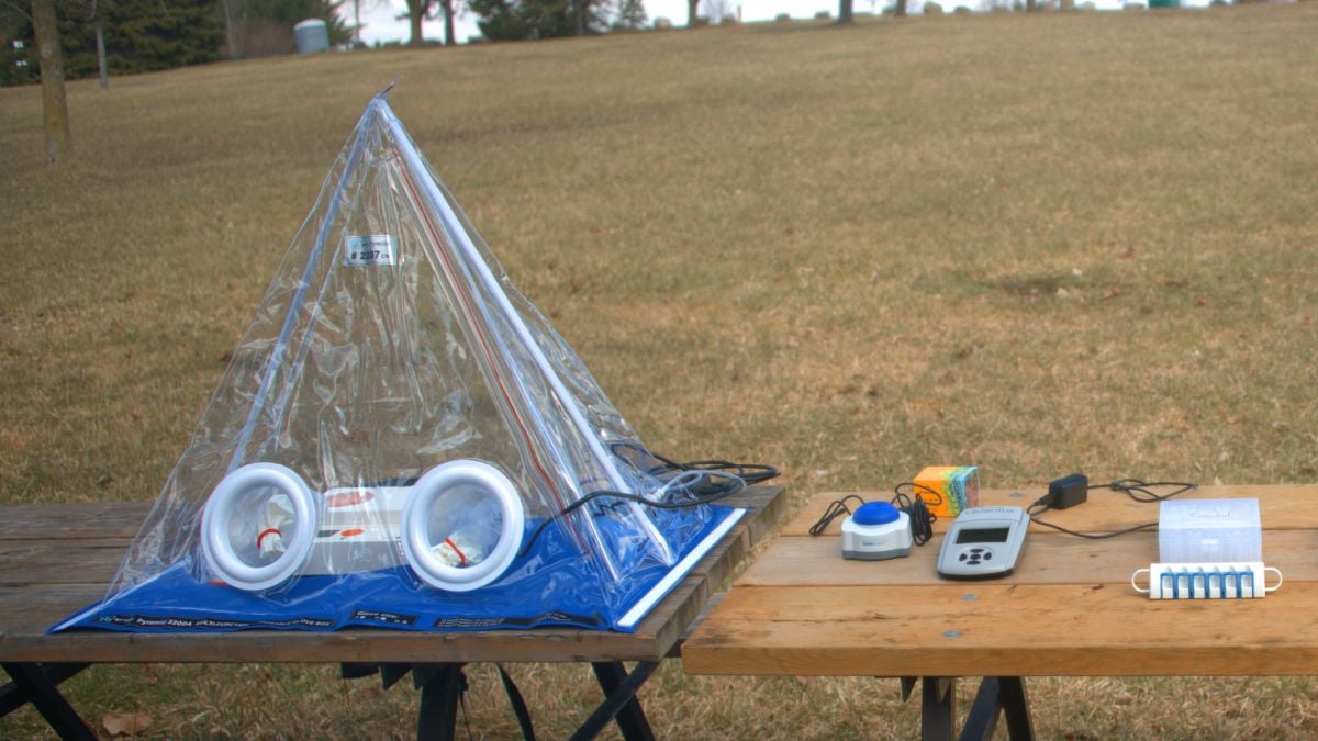 Molecular Biology Research Without Bottlenecks | Bento Lab