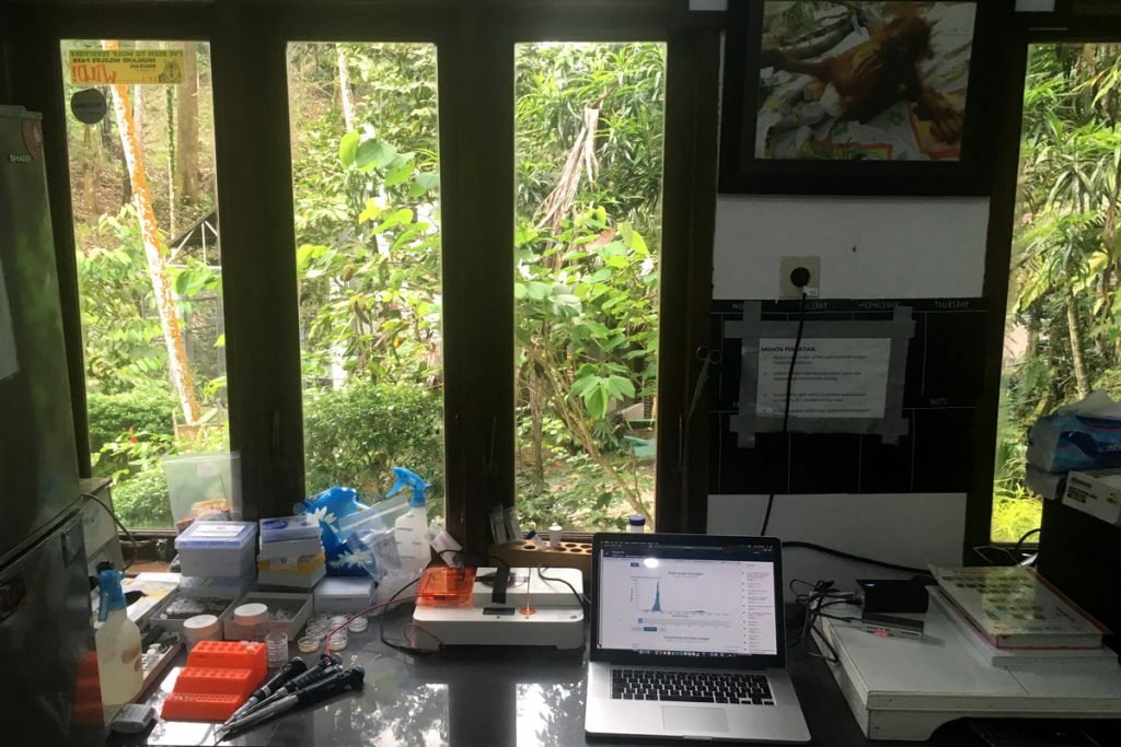 Advice for Bento Lab Users | Bento Lab