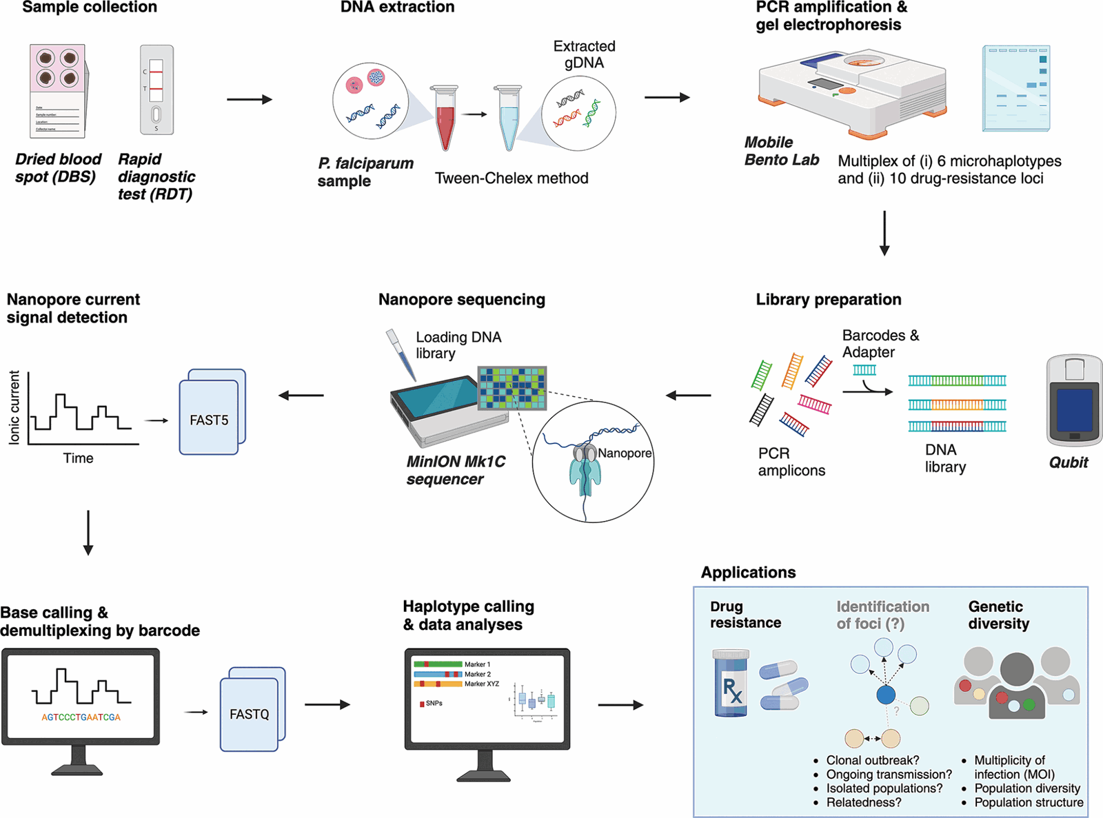 A Mobile Nanopore Sequencing Lab For End To End Genomic Surveillance Of