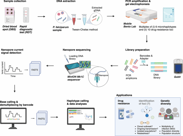 A mobile nanopore sequencing lab for end-to-end genomic surveillance of ...