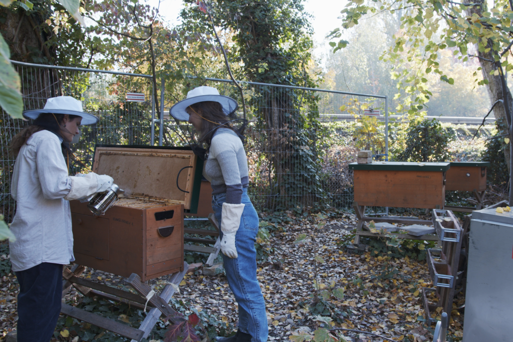 Bento Lab Applications - Discover diverse DNA lab work in action