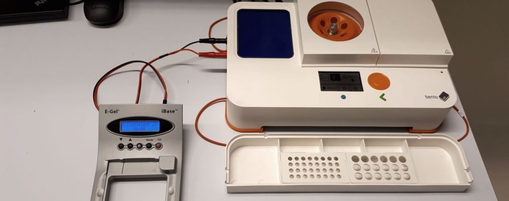 Bye bye buffer: Powering an E-Gel System with Bento Lab.