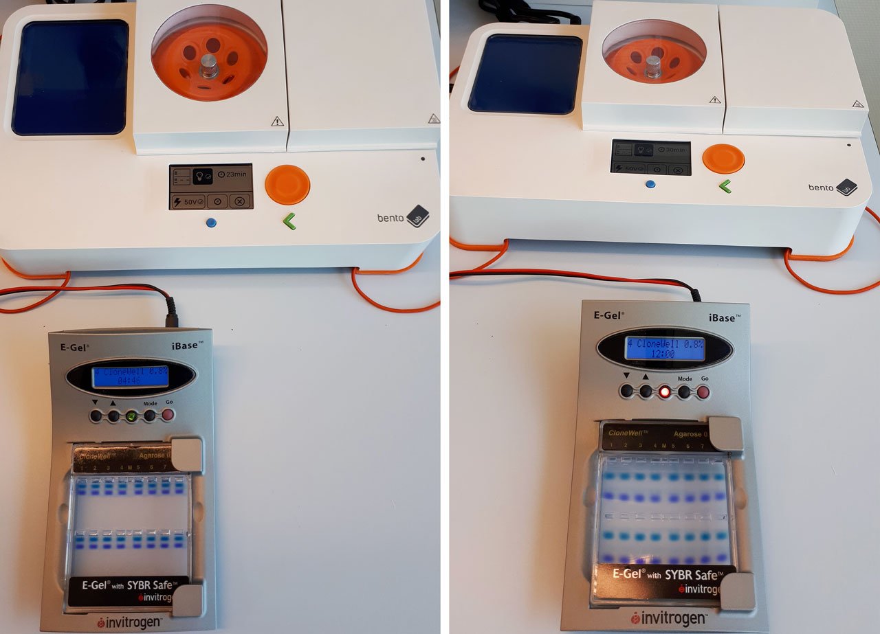 Bye bye buffer: Powering an E-Gel System with Bento Lab.