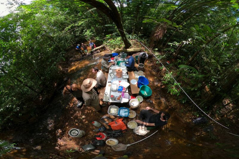 Bring the lab wherever your research takes you | Bento Lab Bring the lab wherever your research takes you | Bento Lab