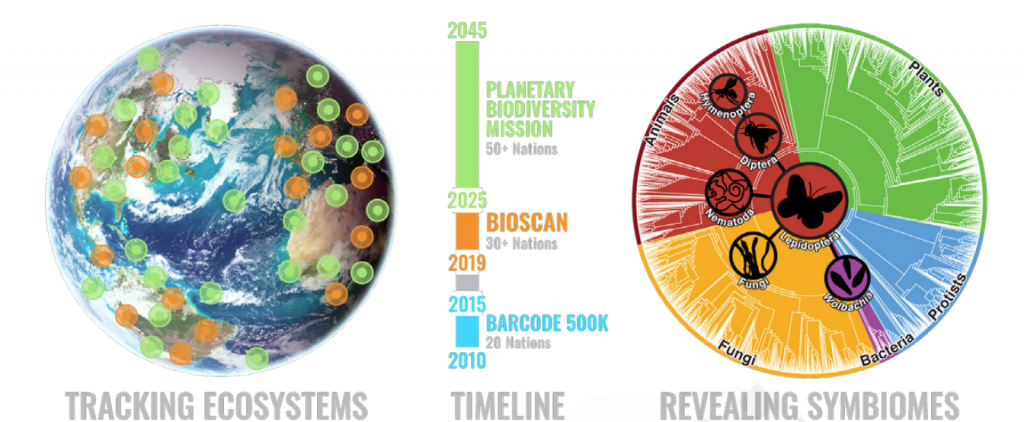 International Barcode of Life 2019, Trondheim, Norway | Bento Lab