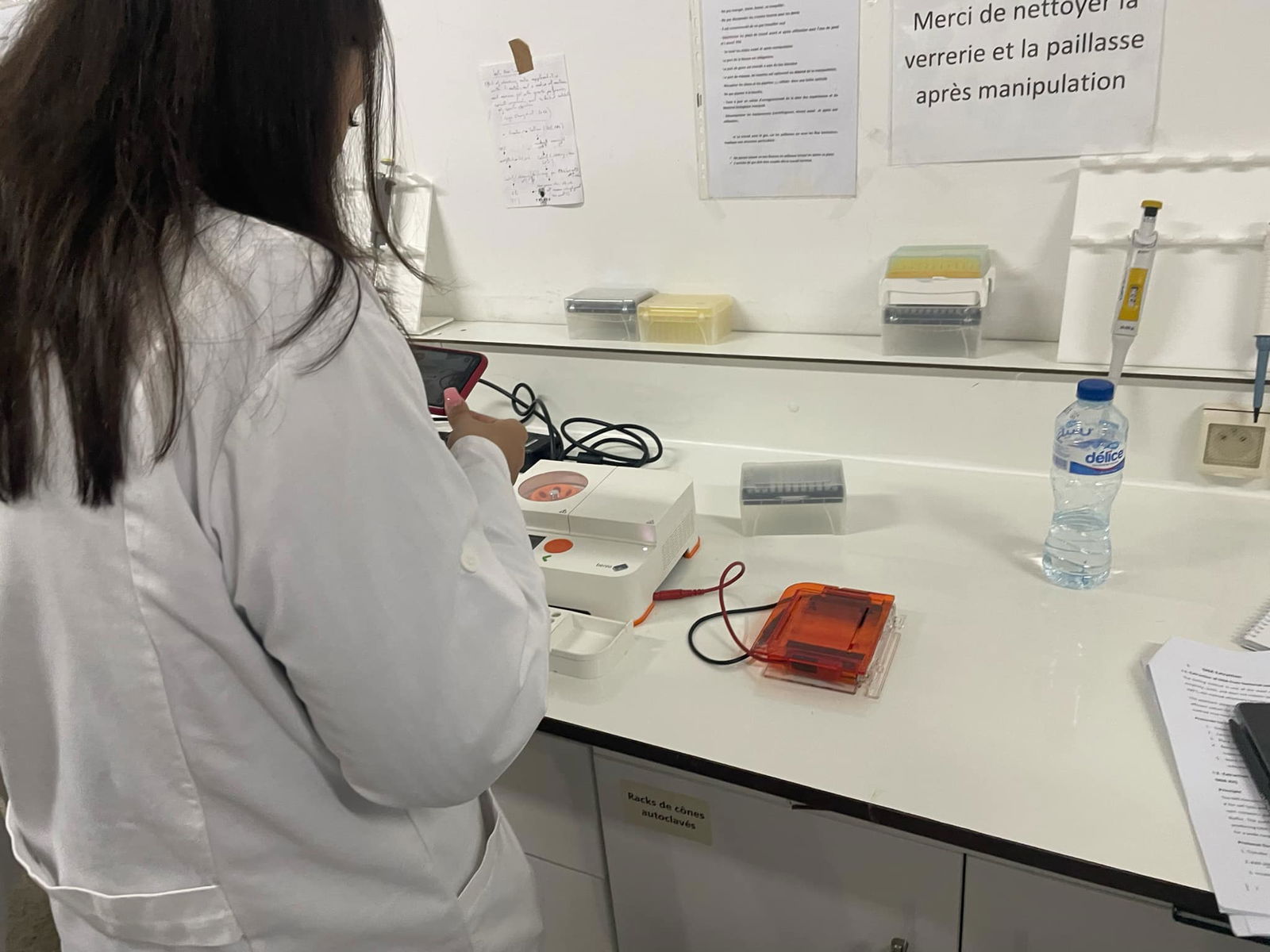 Molecular Biology Research Without Bottlenecks | Bento Lab