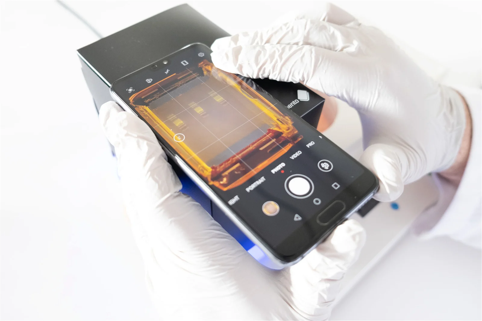 Biotechnology 101 Guide: Introduction to Gel Electrophoresis | Bento Lab