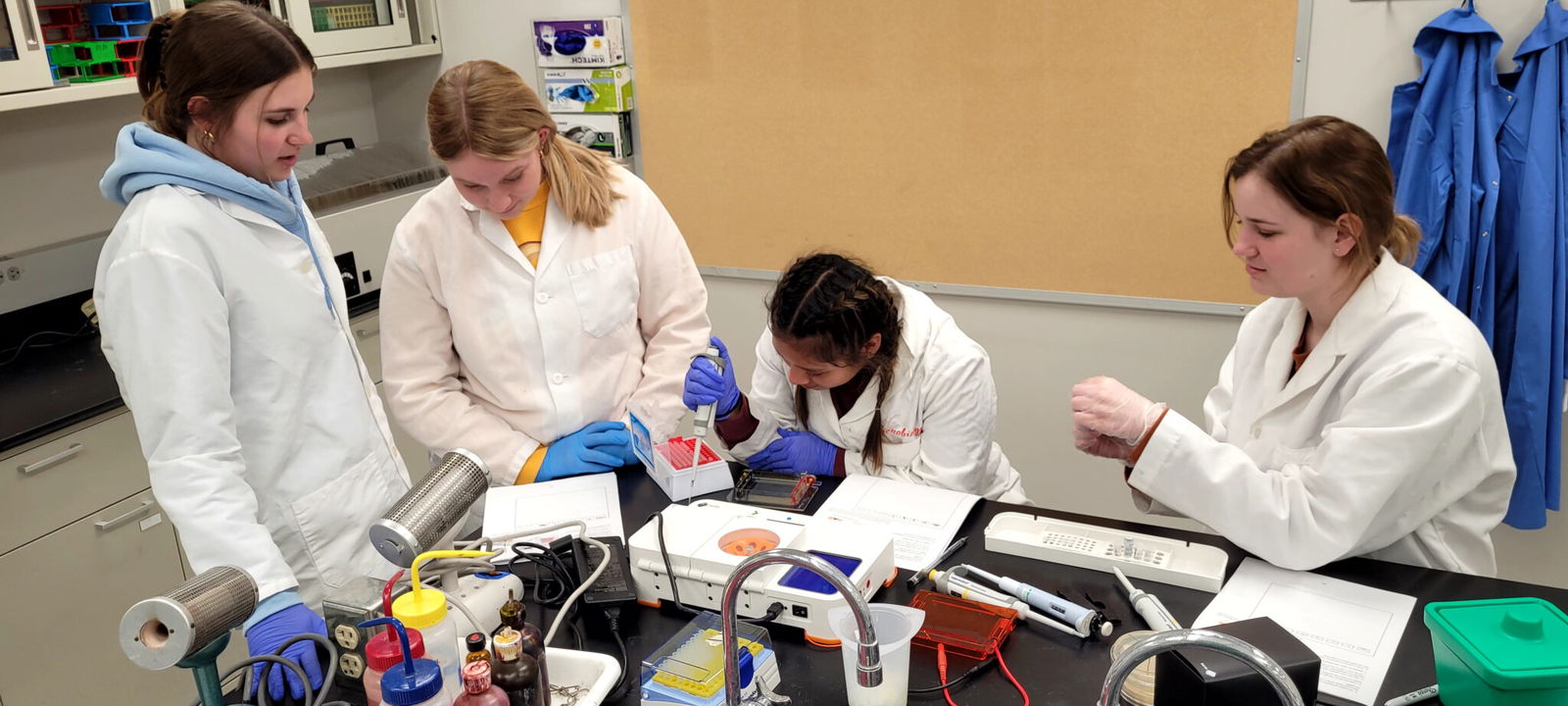 Teaching DNA Barcoding: 4 Case Studies | Bento Lab