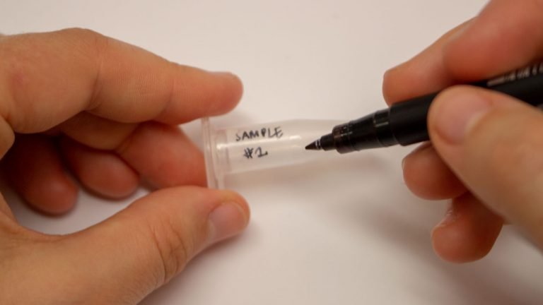 Biotechnology 101 Protocol: DNA Extraction from Saliva | Bento Lab