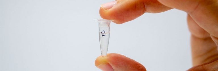 Biotechnology 101 Protocol: DNA Extraction from Tissue | Bento Lab