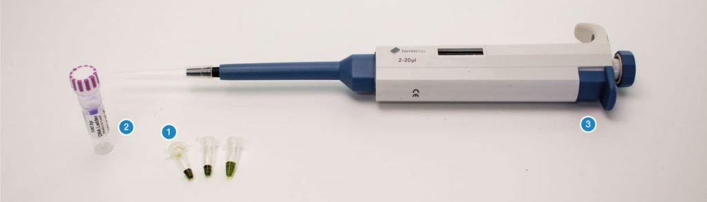 Biotechnology 101 Protocol: Gel Electrophoresis | Bento Lab