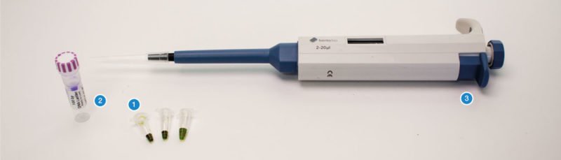 Biotechnology 101 Protocol: Gel Electrophoresis | Bento Lab