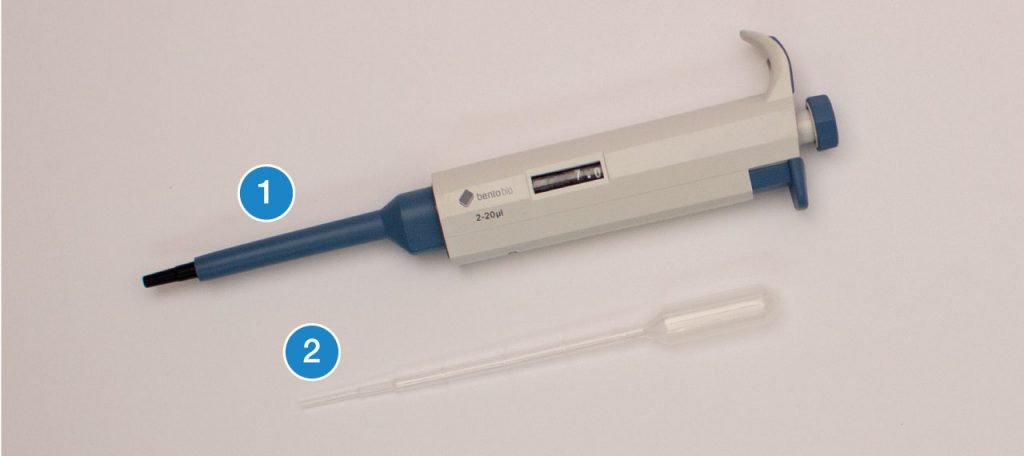 Biotechnology 101 Guide: Introduction to Pipetting | Bento Lab