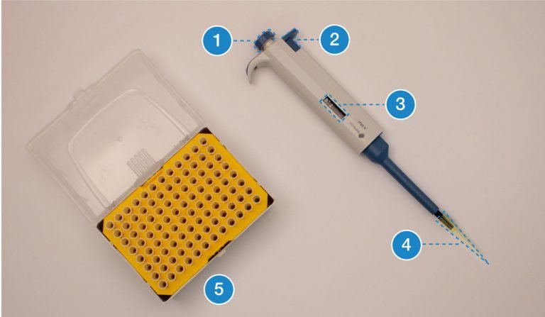 Biotechnology 101 Guide: Introduction to Pipetting | Bento Lab