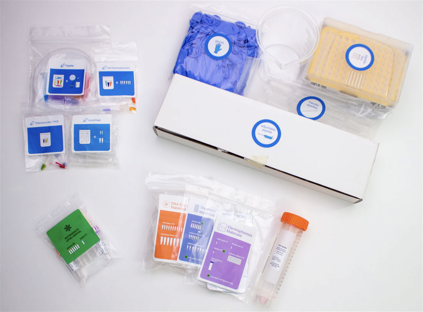 Biotechnology 101 | Learn DNA Testing from Sample to Result | Bento Lab