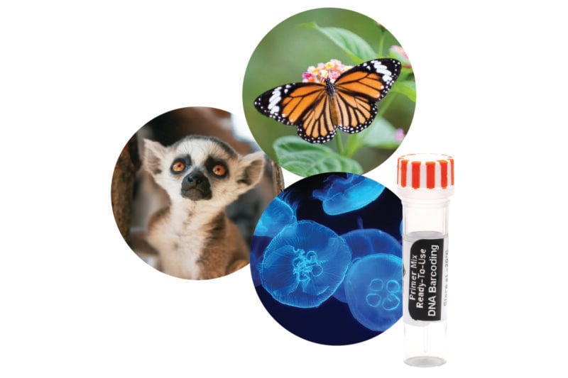 Animal / Metazoa DNA Barcoding Primers