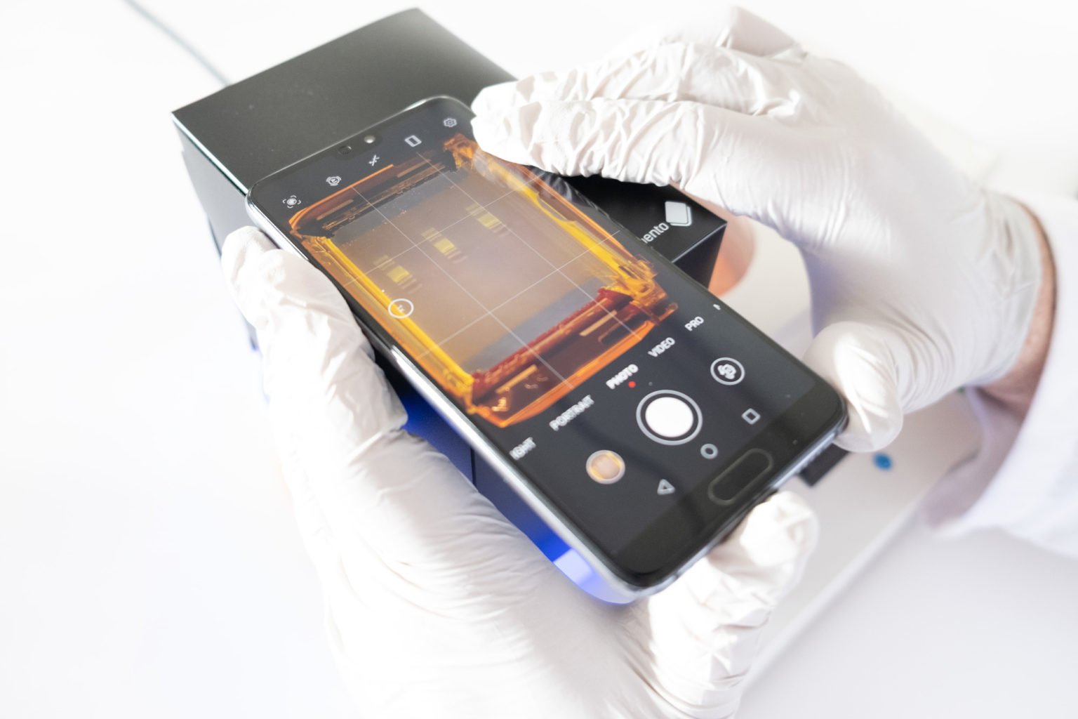 Interpreting Electrophoresis Gels | Bento Lab