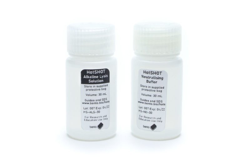 Fungal DNA Barcoding Primers