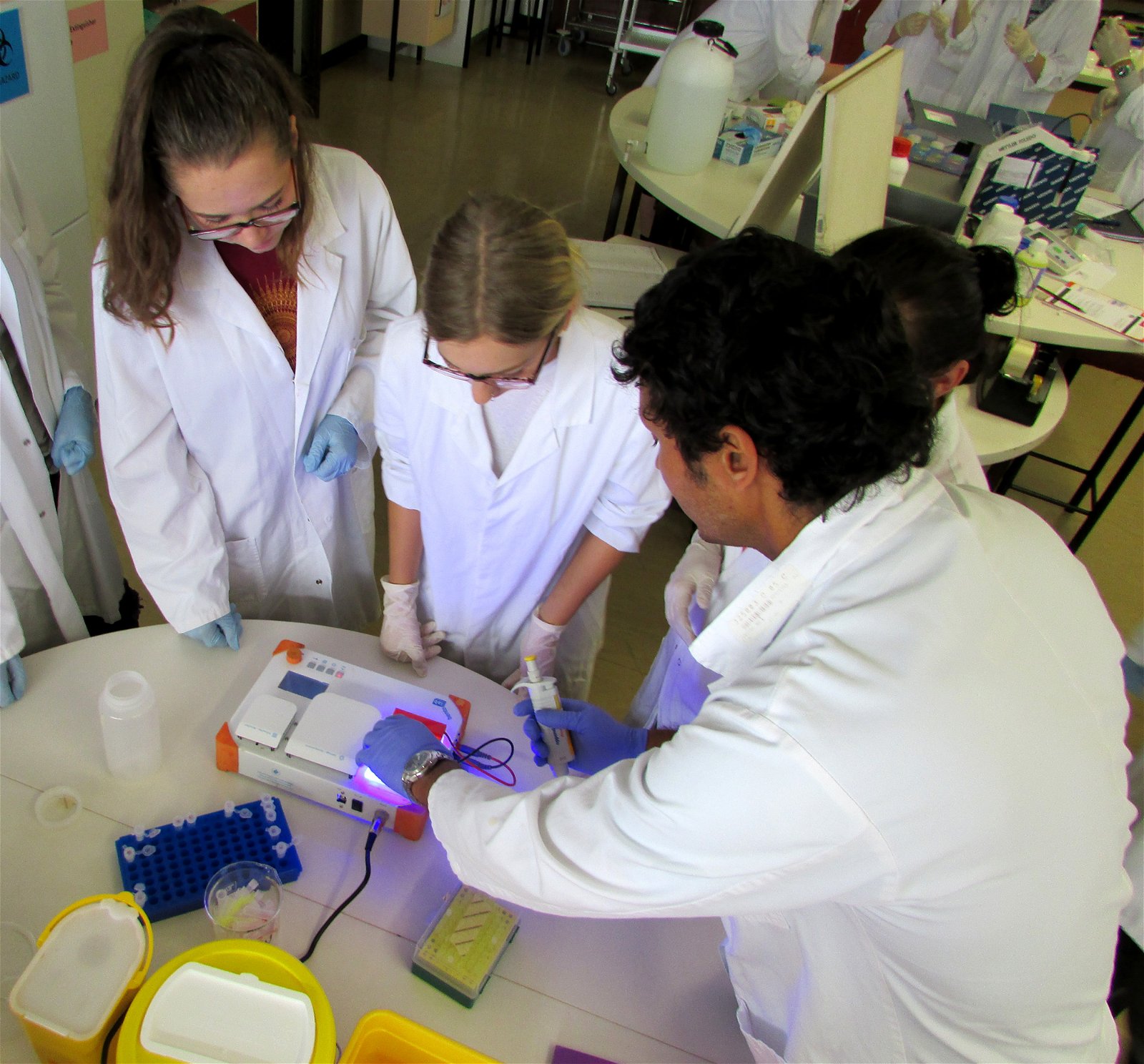 Research - Applications | Bento Lab