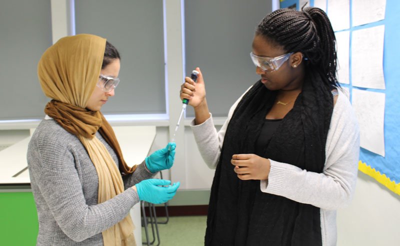 Learn Hands-On Genetics with Bento Lab