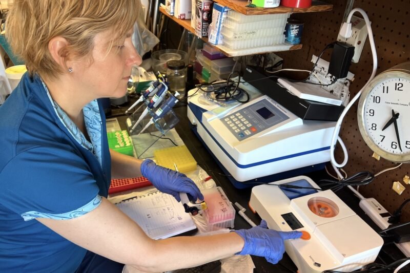 Bring the lab wherever your research takes you | Bento Lab Bring the lab wherever your research takes you | Bento Lab